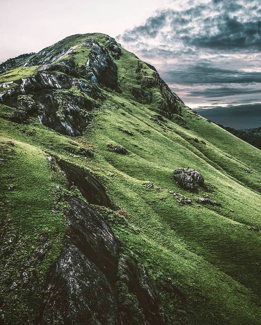 Little New Zealand of sri lanka -Haritha Kanda Bogawanthalawa - Ceylon ...