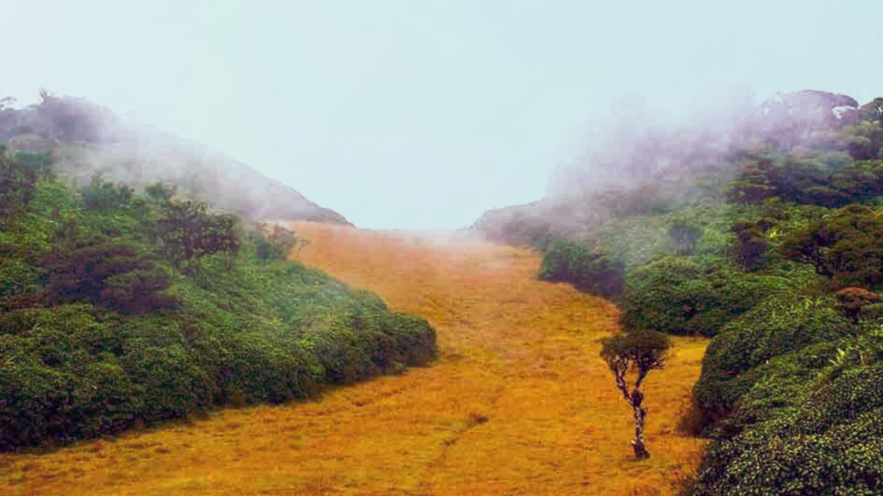 Chariot Path and Sita Tear Pond: An Epic Adventure through Sri Lanka's Mystical Ramayana Trails ...